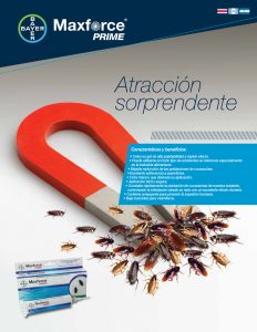 Maxforce® Prime – Envu Environmental